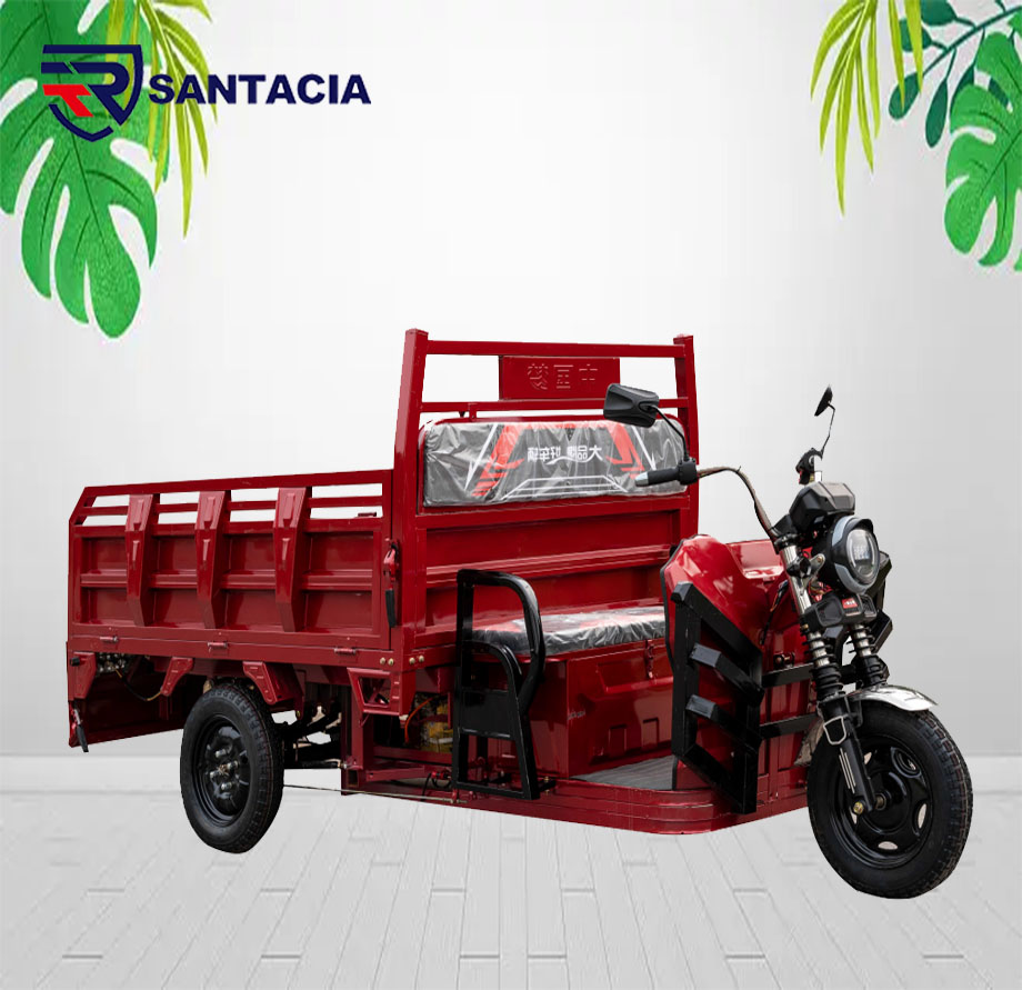 RPT-1 Cargo Tricycle