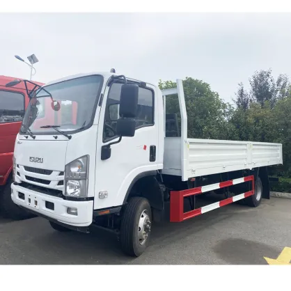 Isuzu 4x2 Cargo Transport Truck, Freight Truck