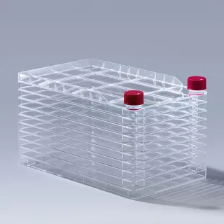 Cell Culture Flask Sizes