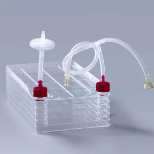 Cell Culture Supplies, Cell Culture Consumables List, Cell Culture ...