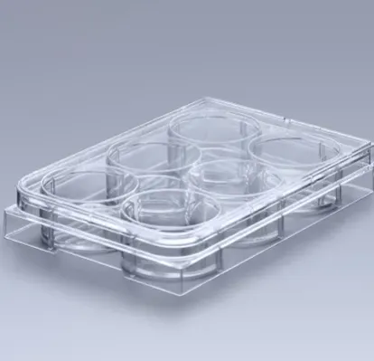 Key Characteristics of Cell Culture Plates
