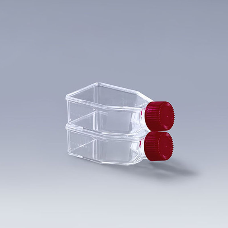 T25 Cell Culture Flask