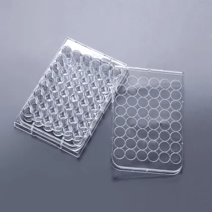 Multi-wells Cell Culture Plate - FDCELL