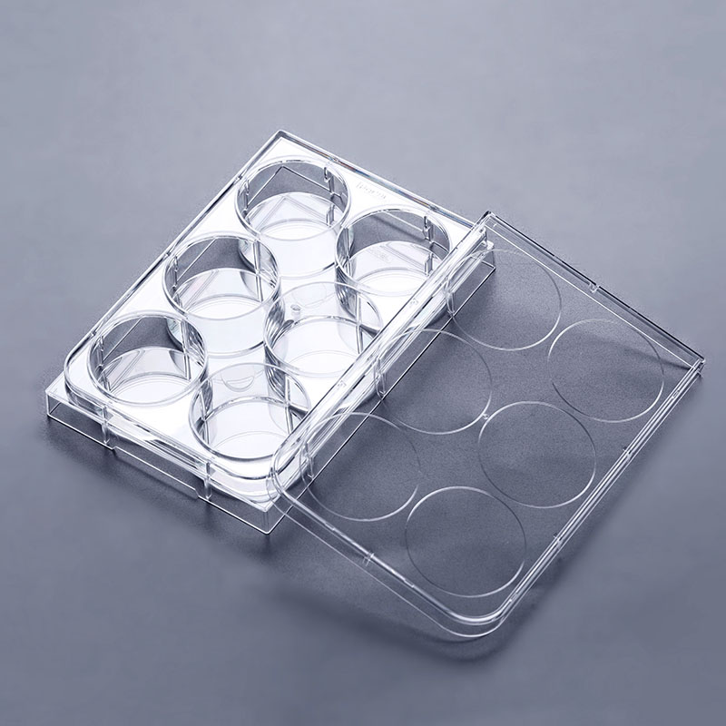 Multi-wells Cell Culture Plate