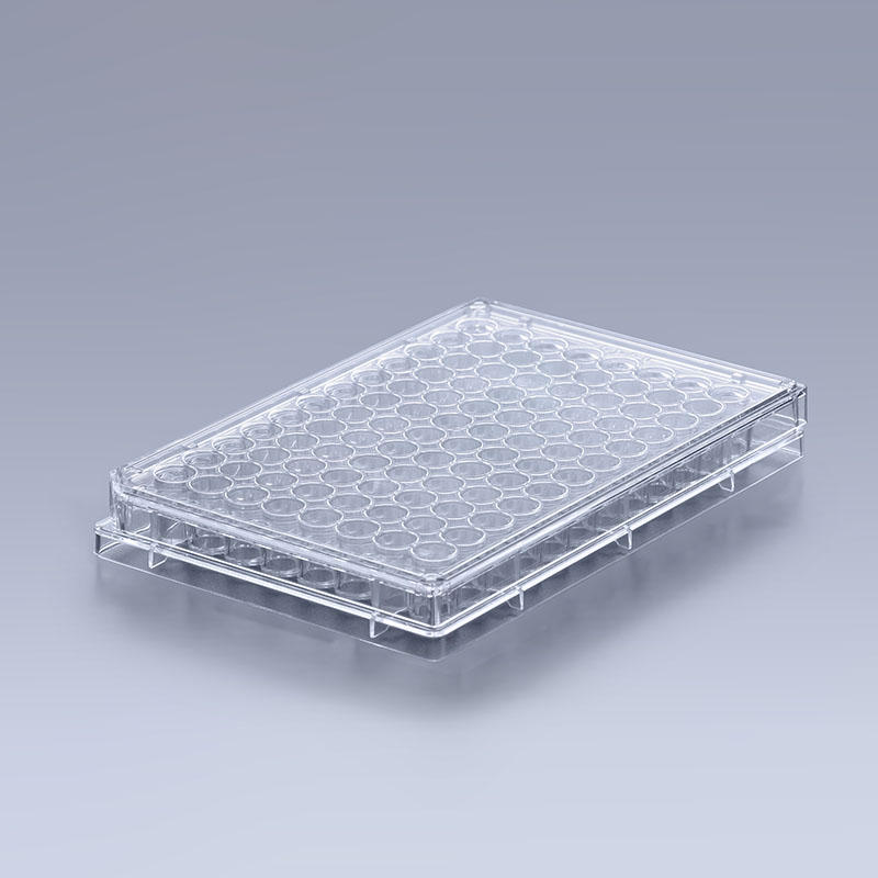 Multi-wells Cell Culture Plate