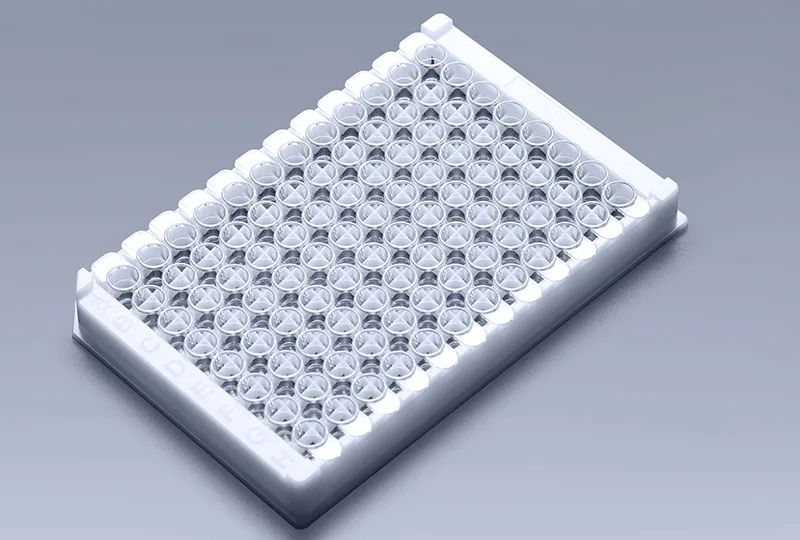 Canine Endometrial Mesenchymal Stem Cells_FDCELL