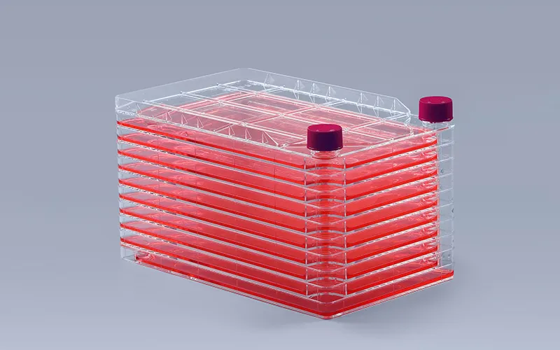 Cell Factory: How to Easily Achieve High-Efficiency Cell Culture?_FDCELL
