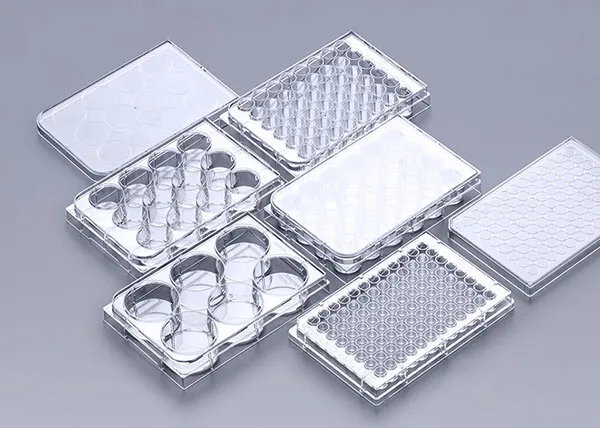 ICH Q5E:Comparability of Biotechnological/Biological Products Subject ...