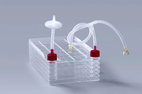 Comprehensive Guide to Cell Factories