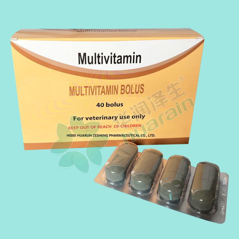 Multivitamin Bolus