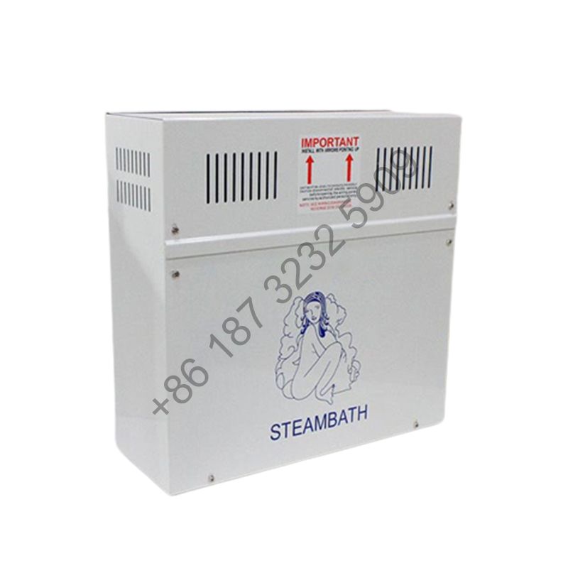 Industrial Steam Generator