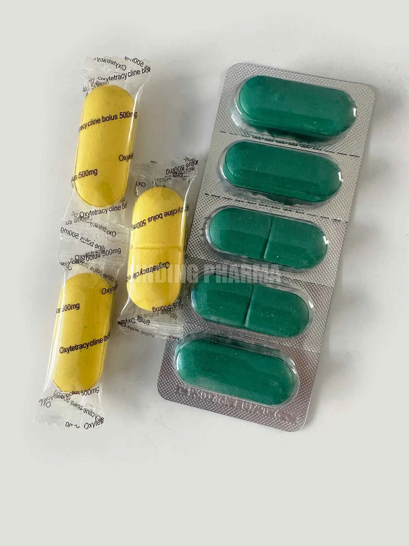 Levamisole 1000mg bolus,levamisol