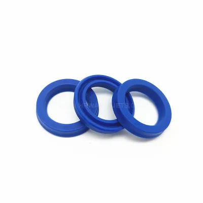 Water Jet Cutting Pump Parts Y-ring for Intensifier 720310132