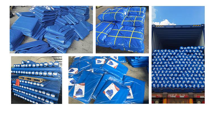 PE Tarpaulin Roll