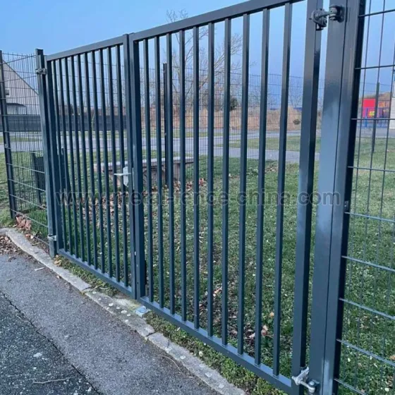 Double Swing Gate