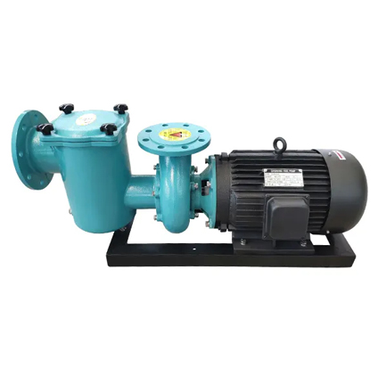 circulating water pump,circulating pump,pool circulating pump