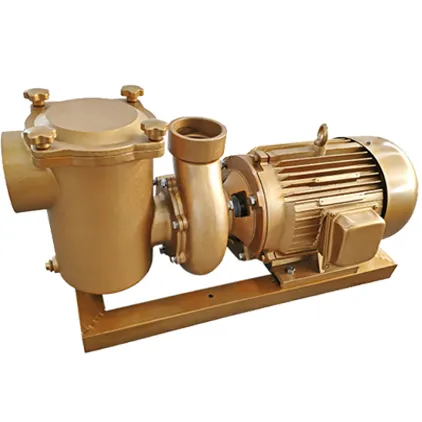 in ground pool pumps,in ground swimming pool pumps