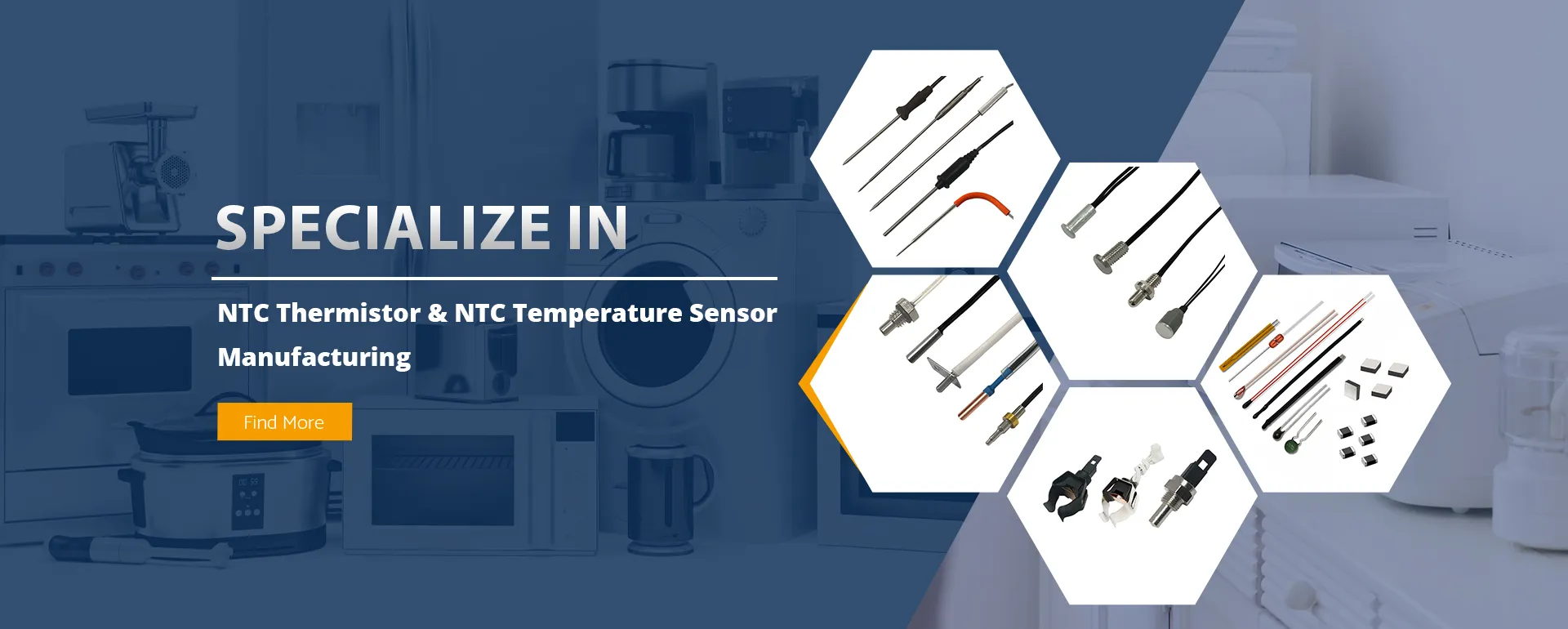 NTC Thermistor, Digital Temperature Sensor Supplier