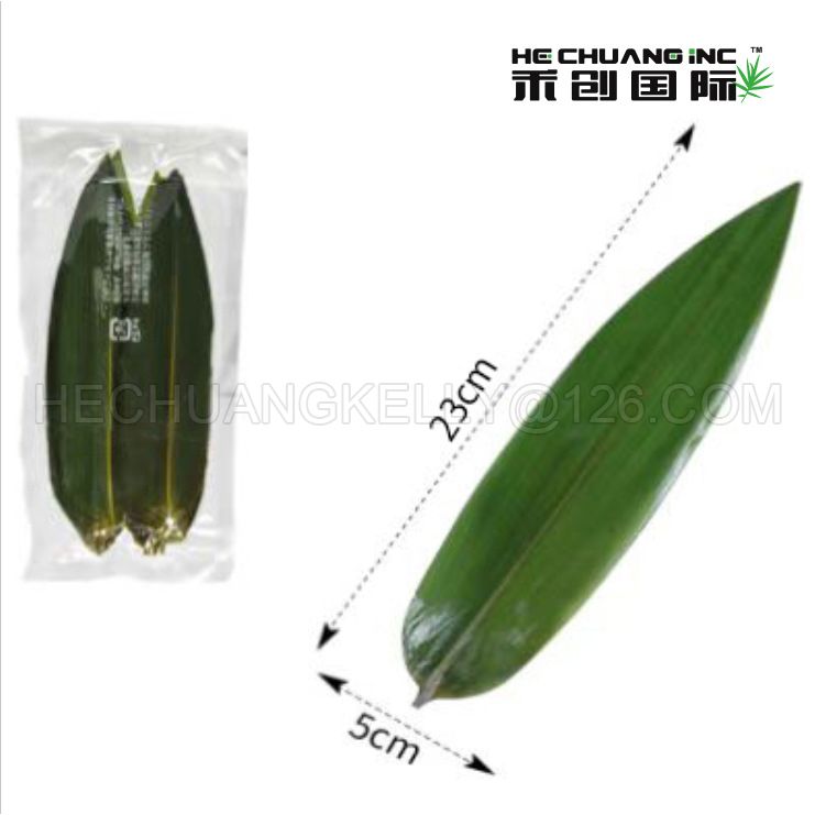 Green Bamboo Leaves, OEM Bamboo Leaves, Fresh Bamboo Leaves For Sale