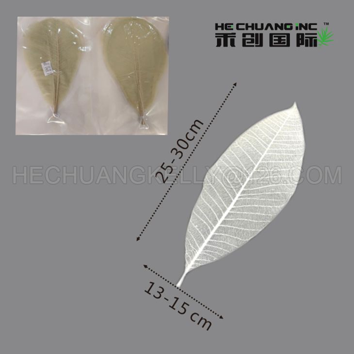 Houba Leaves for Sushi: An Exquisite Twist to Traditional Rolls