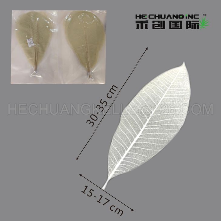 Houba Leaves for Sushi: An Exquisite Twist to Traditional Rolls