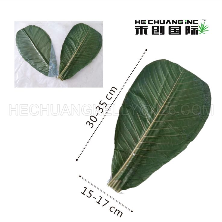 Houba Leaves for Sushi: An Exquisite Twist to Traditional Rolls