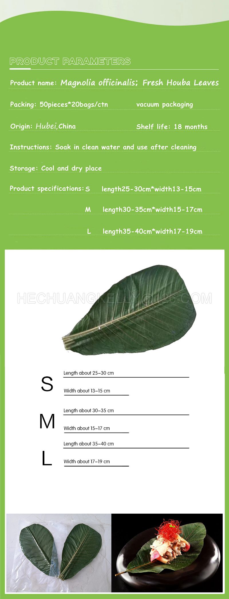 Fresh HouBa Leaves, Fresh Magnolia Leaves For Sushi