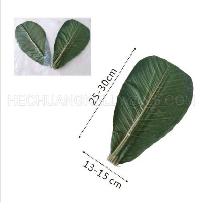 Fresh HouBa Leaves, Fresh Magnolia Leaves For Sushi