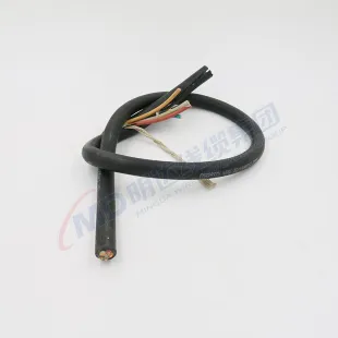 Rubber Insulated Cable