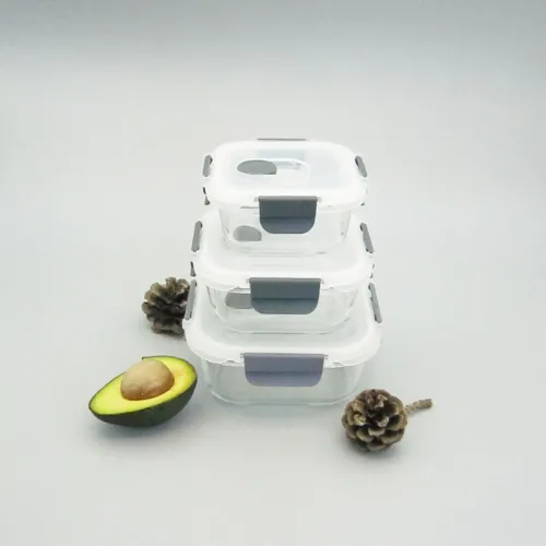 Glass Food Storage Container with vented PP lid and silicone sleeve
