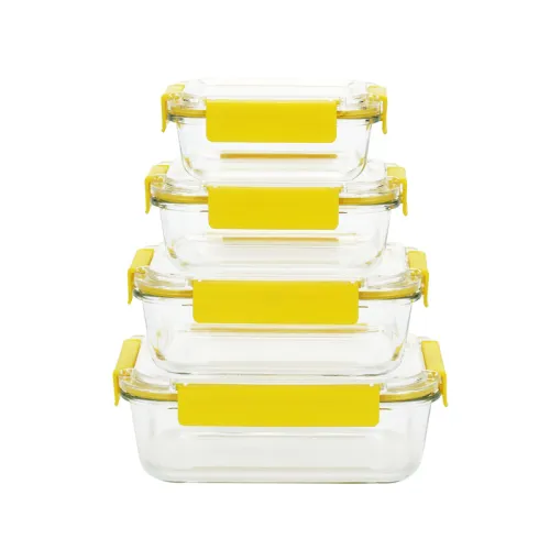 Glass storage container with snaplock lid