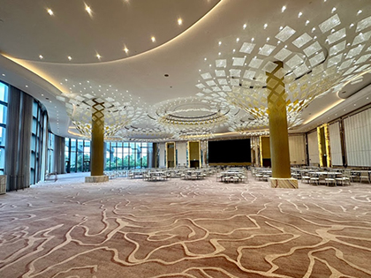 Illuminate Your Space with Carol Lighting