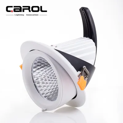 LED Shop 50W Gimbal Downlight