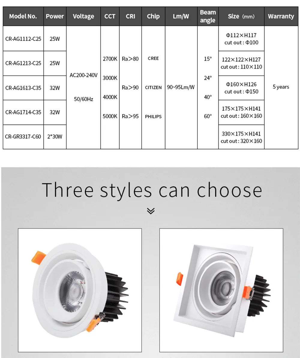 Adjustable COB Downlight