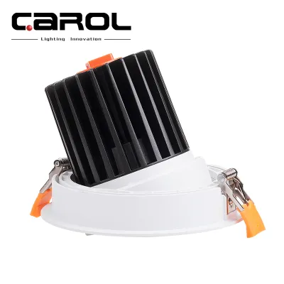 Adjustable COB Downlight