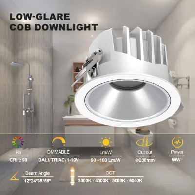 Anti-glare COB Downlight