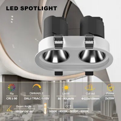 40W Oval Shape Double Downlight