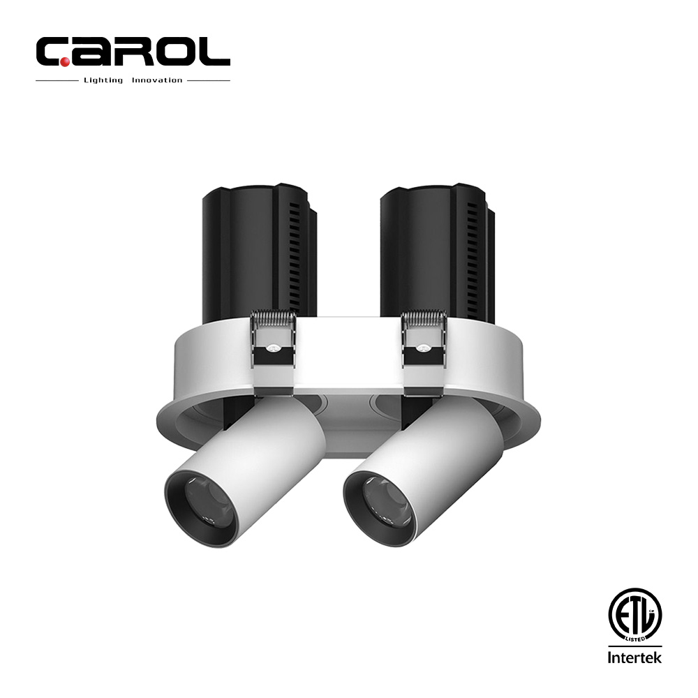 10W Double Heads Round Trimmed strechable spotlight