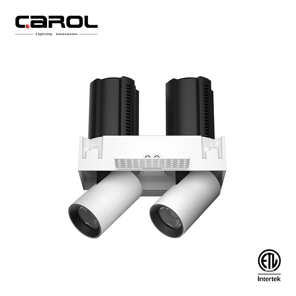 10W Double Heads Square Trimless strechable spotlight