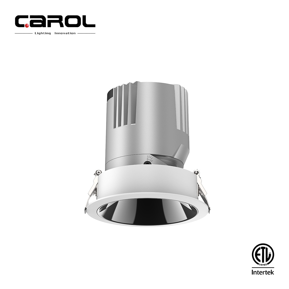 20W Moon Round LED Spotlight