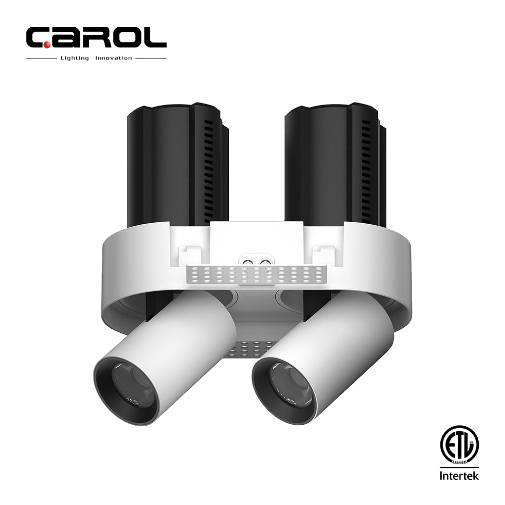 24W Double Heads Round Trimless strechable spotlight