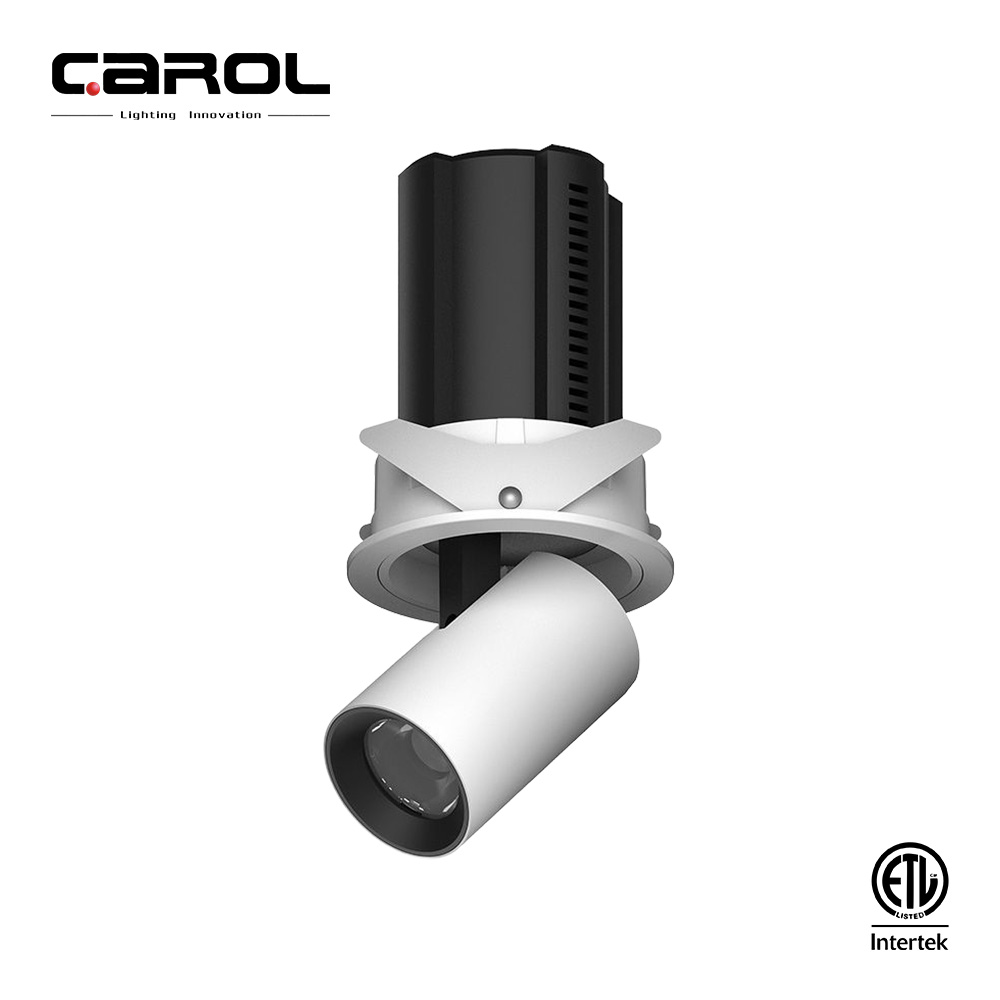 12W Round Trimmed strechable spotlight