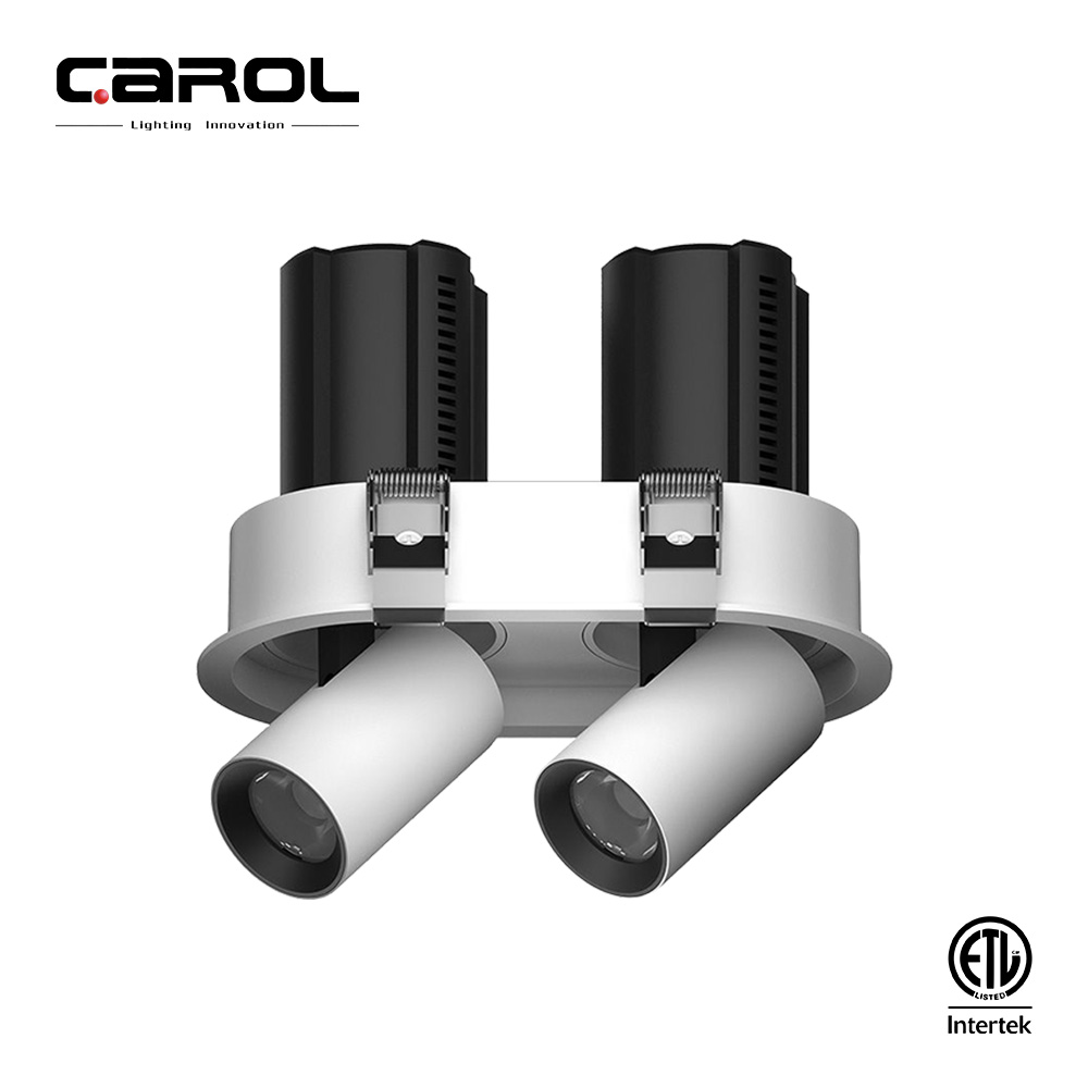 24W Double Heads Round Trimmed strechable spotlight