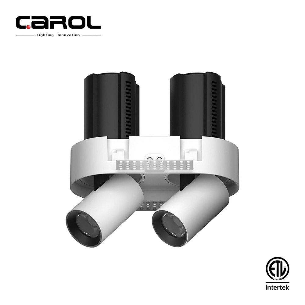 18W Double Heads Round Trimless strechable spotlight