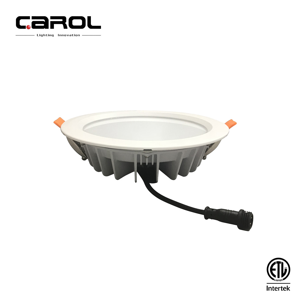 12W IP65 WATER-PROOF LED DOWNLIGHT