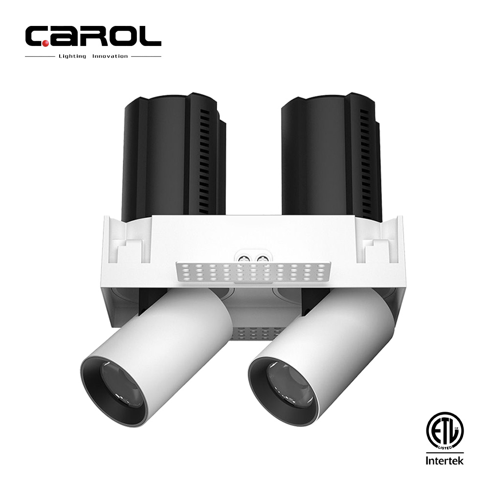 24W Double Heads Square Trimless strechable spotlight