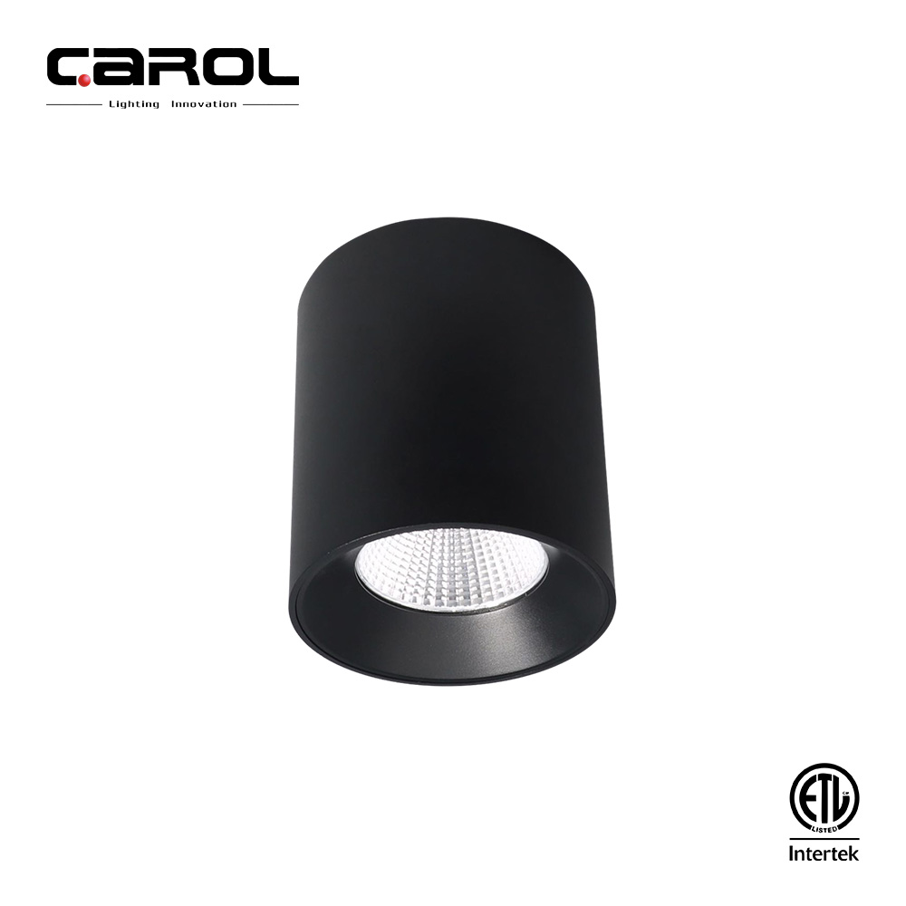 40W IP40 LED Pendant Light
