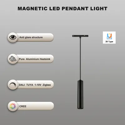 10W Magnetic LED Pendant Light-