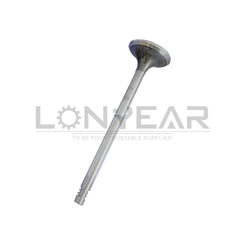 C00001257 MAXUS T60 EXHAUST VALVE