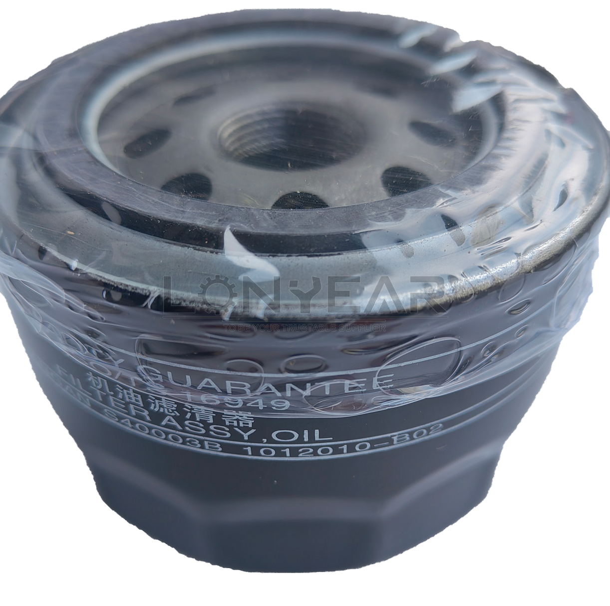 1012010-B02 CHANGAN CS55 OIL FILTER